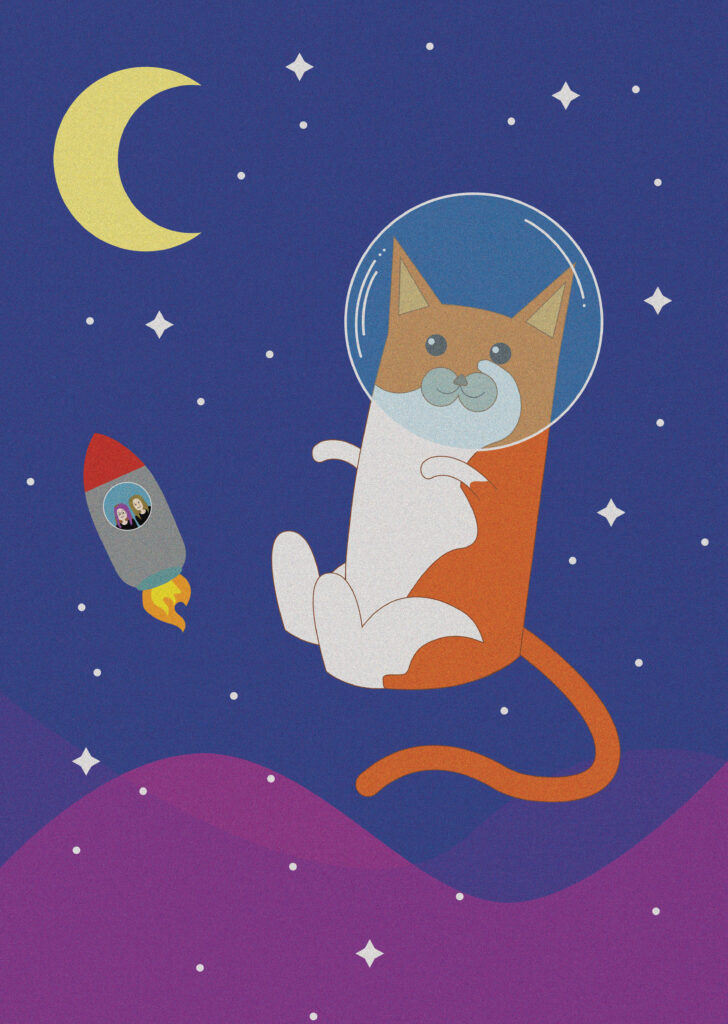 Projecten - Studio Randi