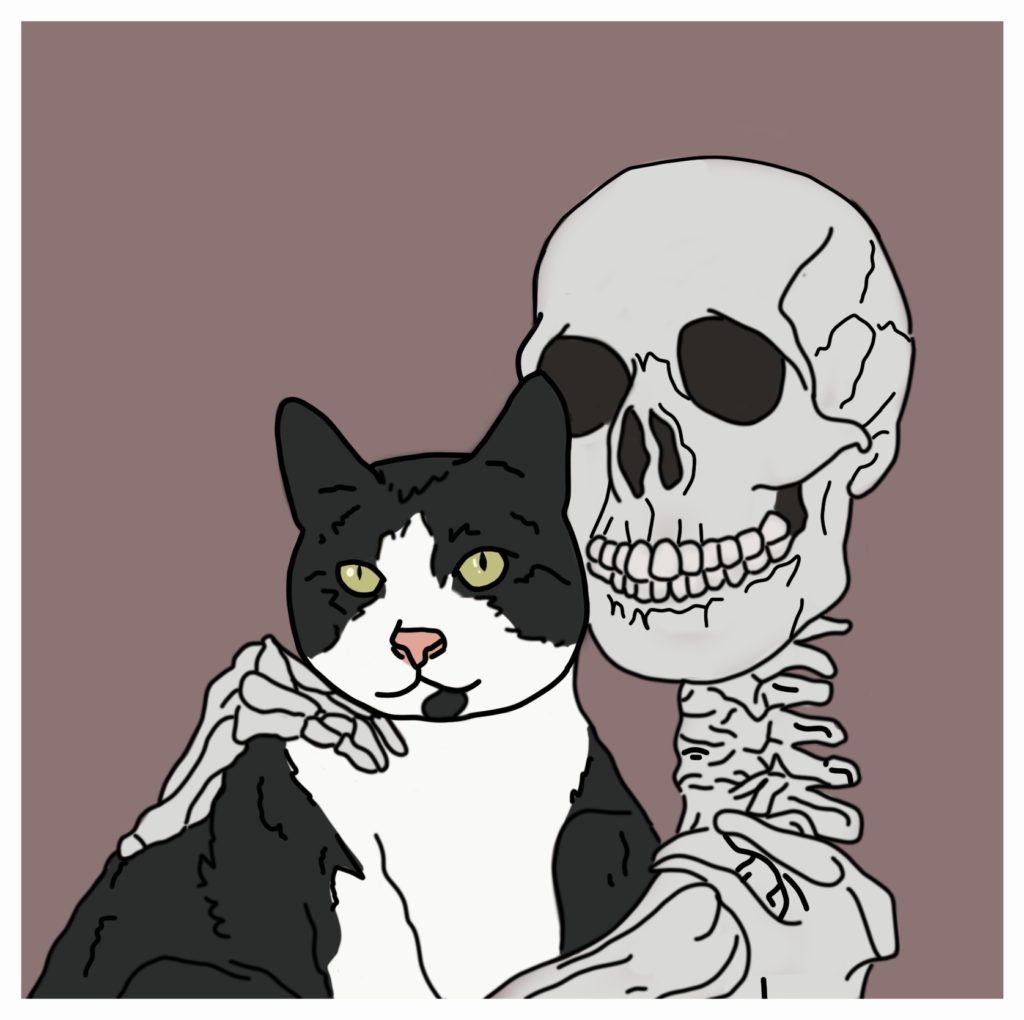 Studio Randi – Grafisch ontwerp portfolio