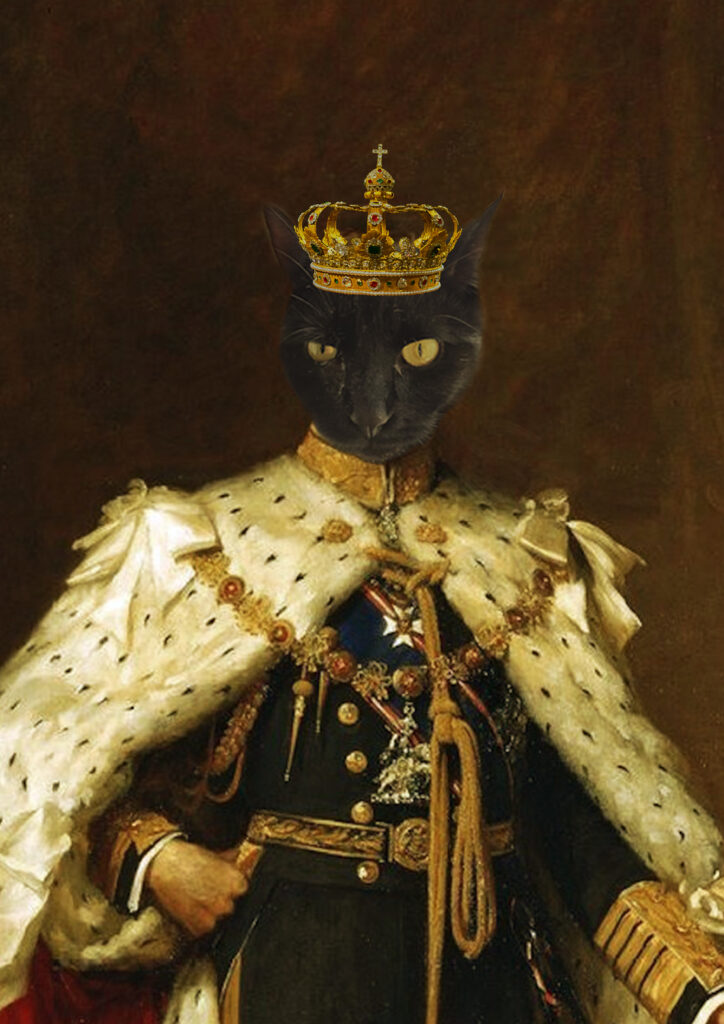 Dierenportretten - Studio Randi